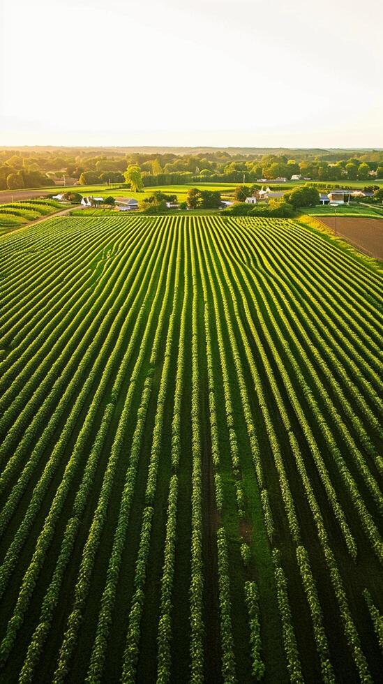 AI generated aerial view captures large, lush green field with crops ...