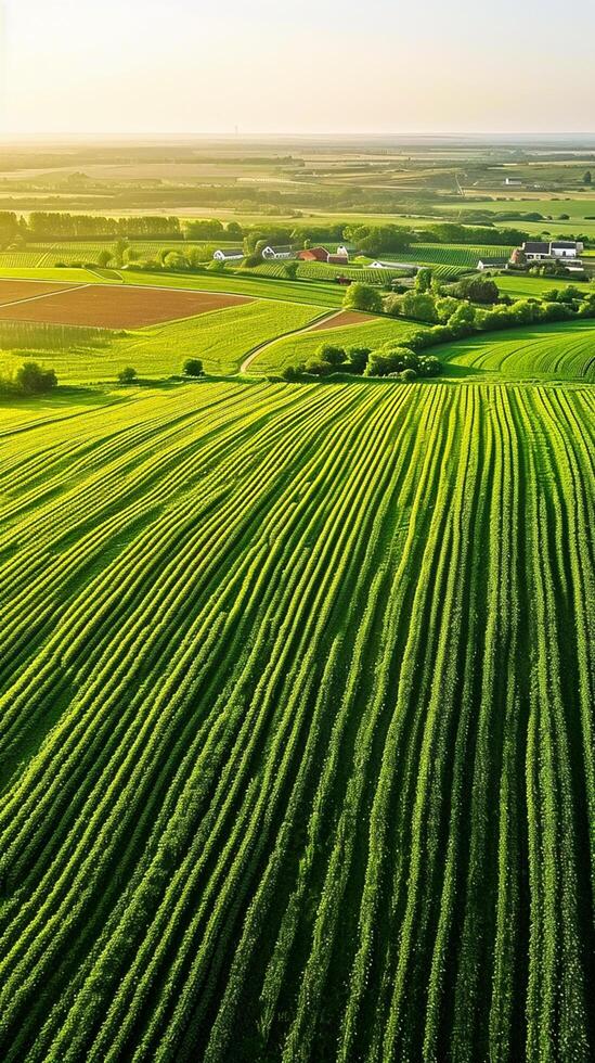 AI generated aerial view captures large, lush green field with crops ...