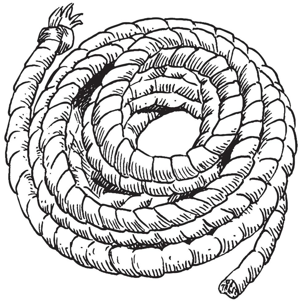 Rope illustration in outline and vector format. 38011119 Vector Art at ...