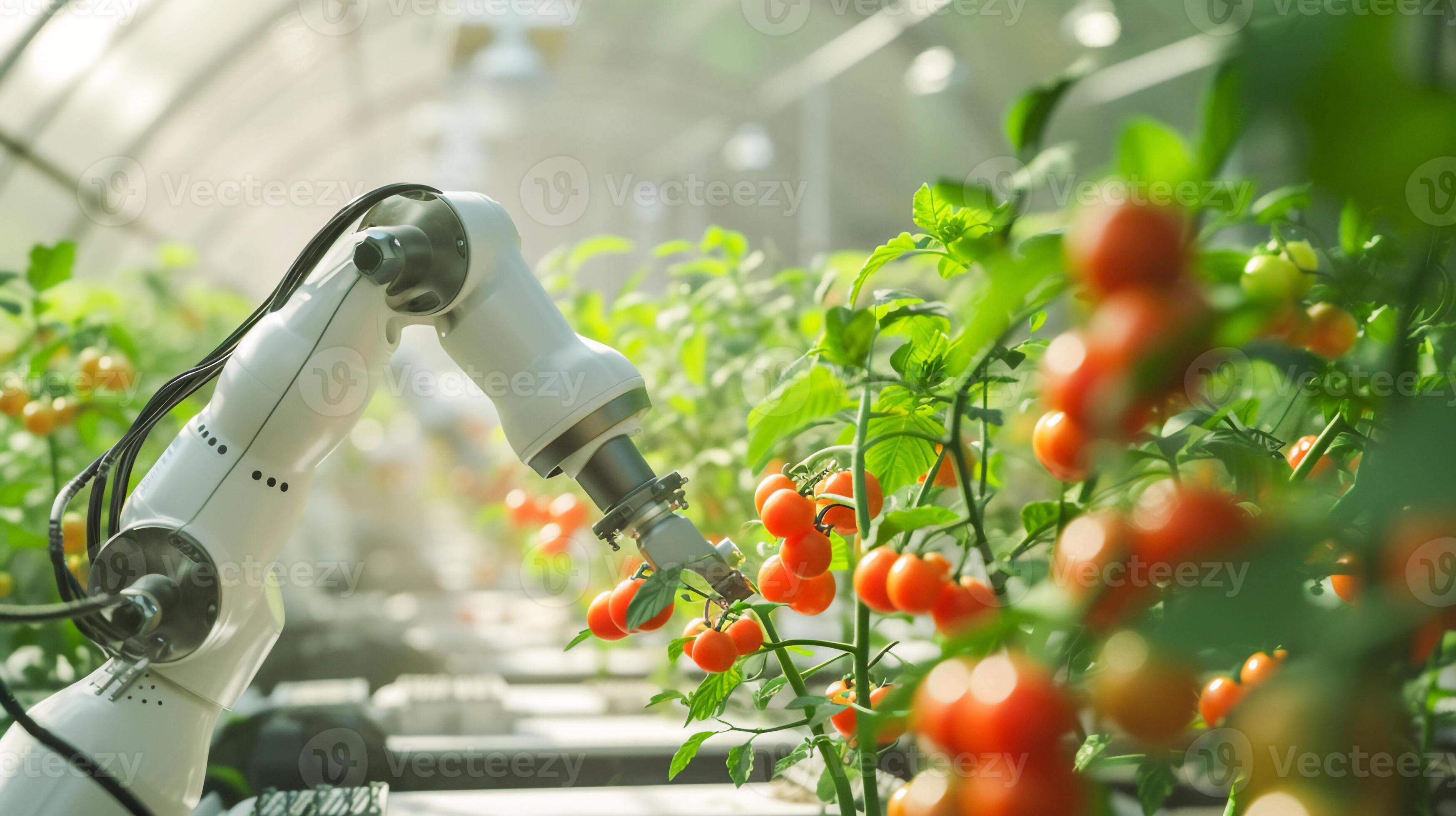 AI generated Future agriculture vegetable farm in greenhouse with smart robotic arms ...