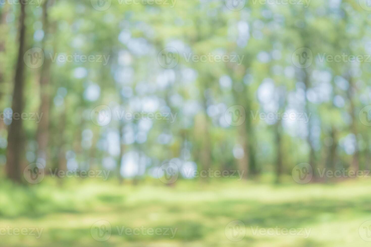 Free Blurred Nature Background Images Free - Infoupdate.org