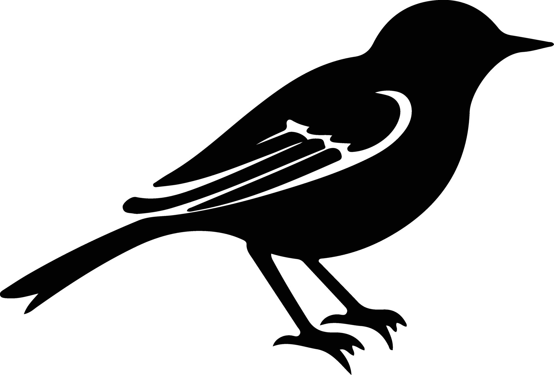 mockingbird black silhouette 38101808 Vector Art at Vecteezy mockingbird black silhouette 38101808 Vector Art at Vecteezy