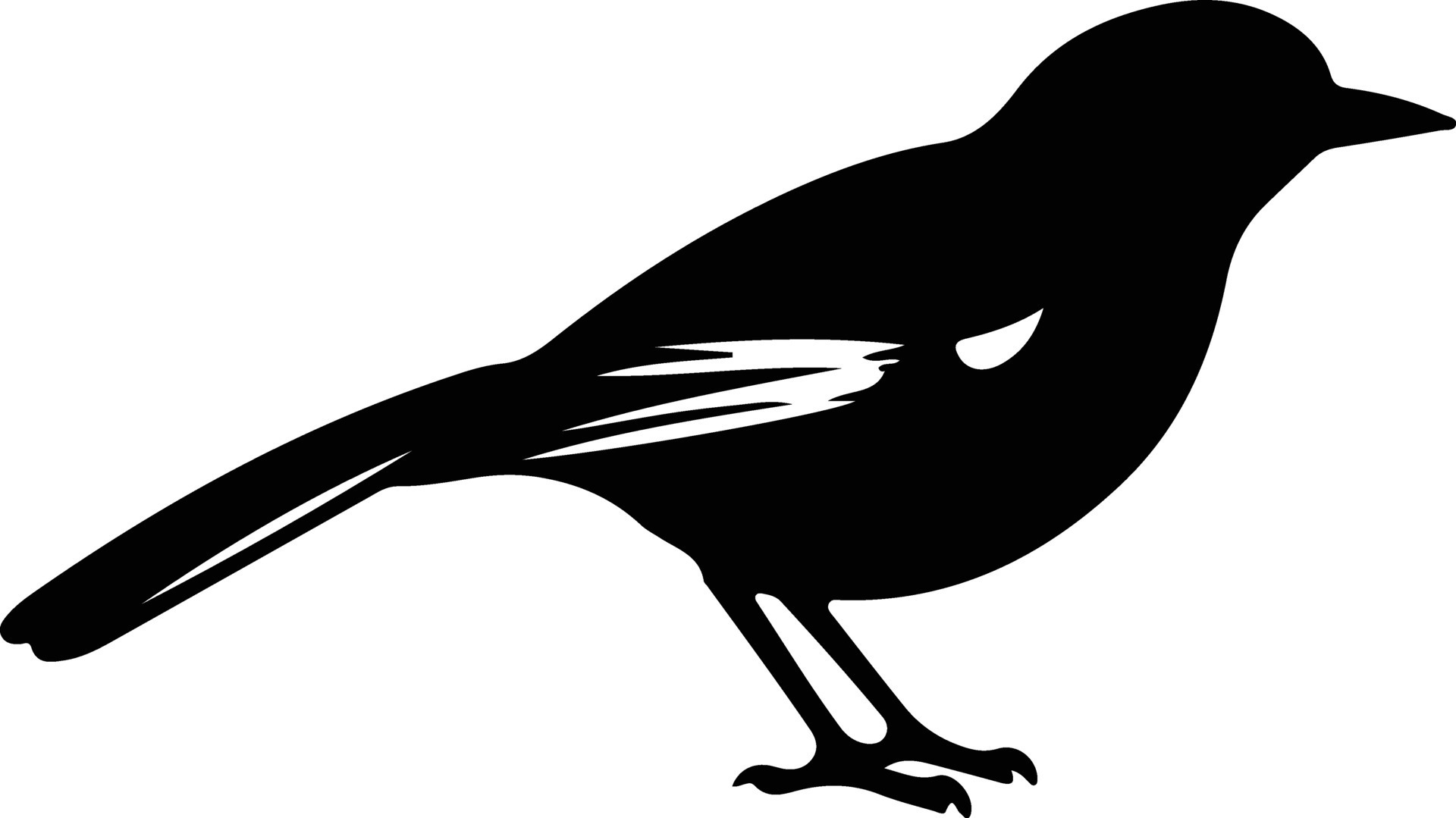 mockingbird black silhouette 38101814 Vector Art at Vecteezy mockingbird black silhouette 38101814 Vector Art at Vecteezy