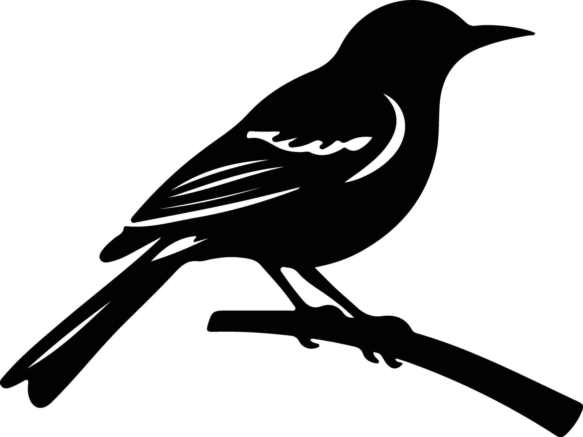 mockingbird black silhouette 38101815 Vector Art at Vecteezy mockingbird black silhouette 38101815 Vector Art at Vecteezy