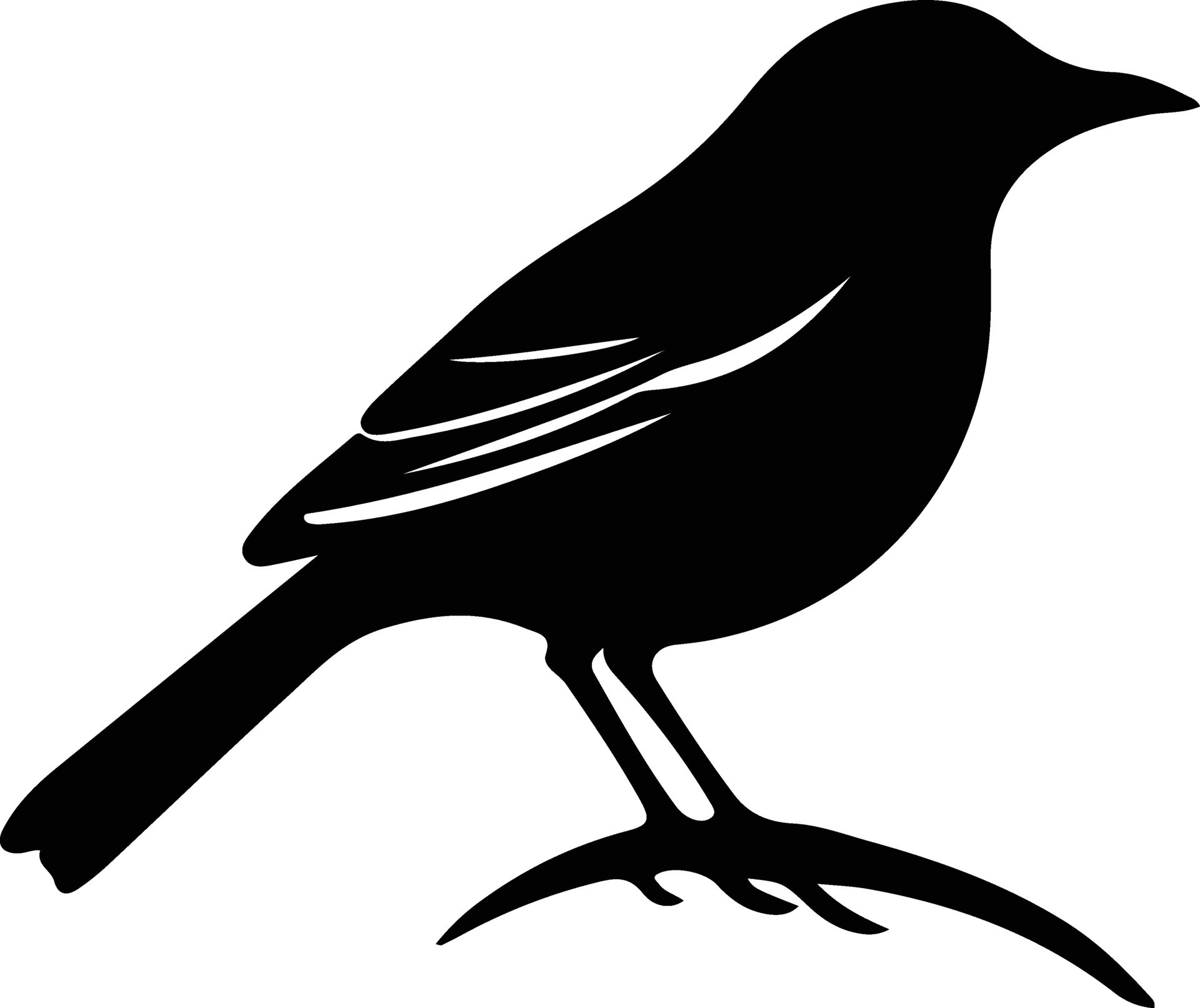 mockingbird black silhouette 38101824 Vector Art at Vecteezy mockingbird black silhouette 38101824 Vector Art at Vecteezy