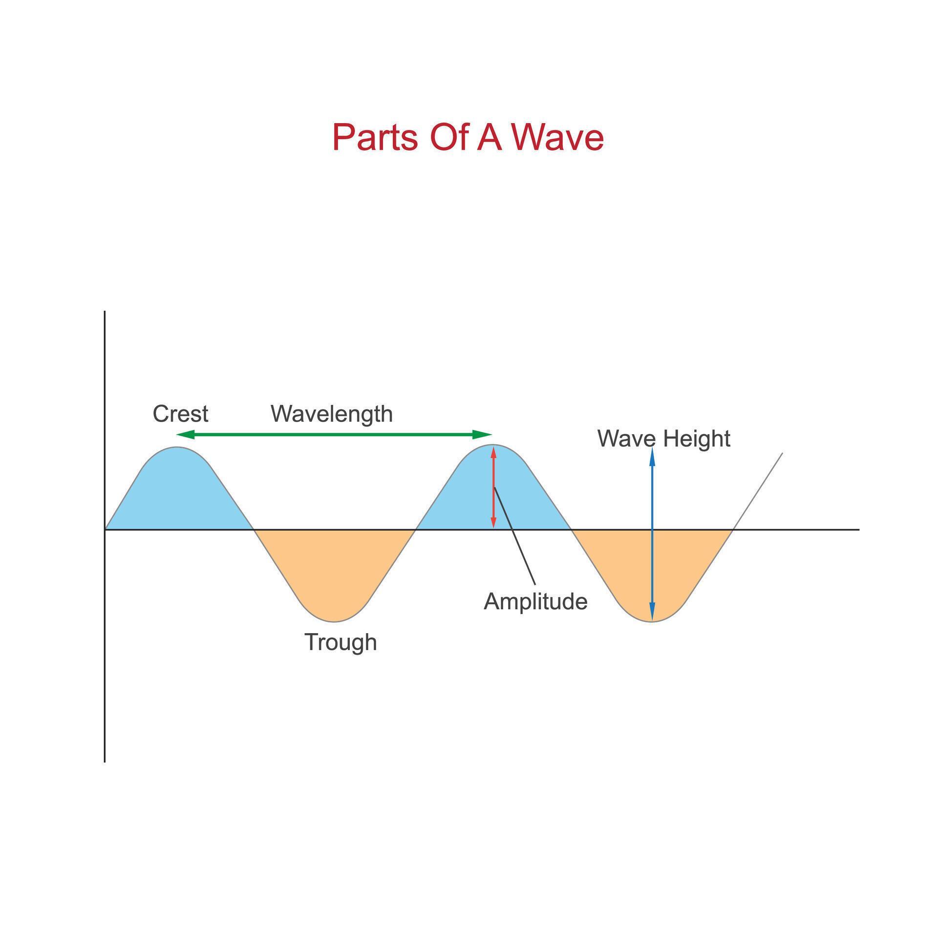 Waves consist of crests and troughs, representing the highest and ...