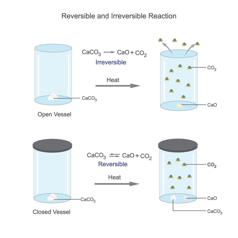 Reversible Reactions Can Go Back And Forth Reaching Equilibrium