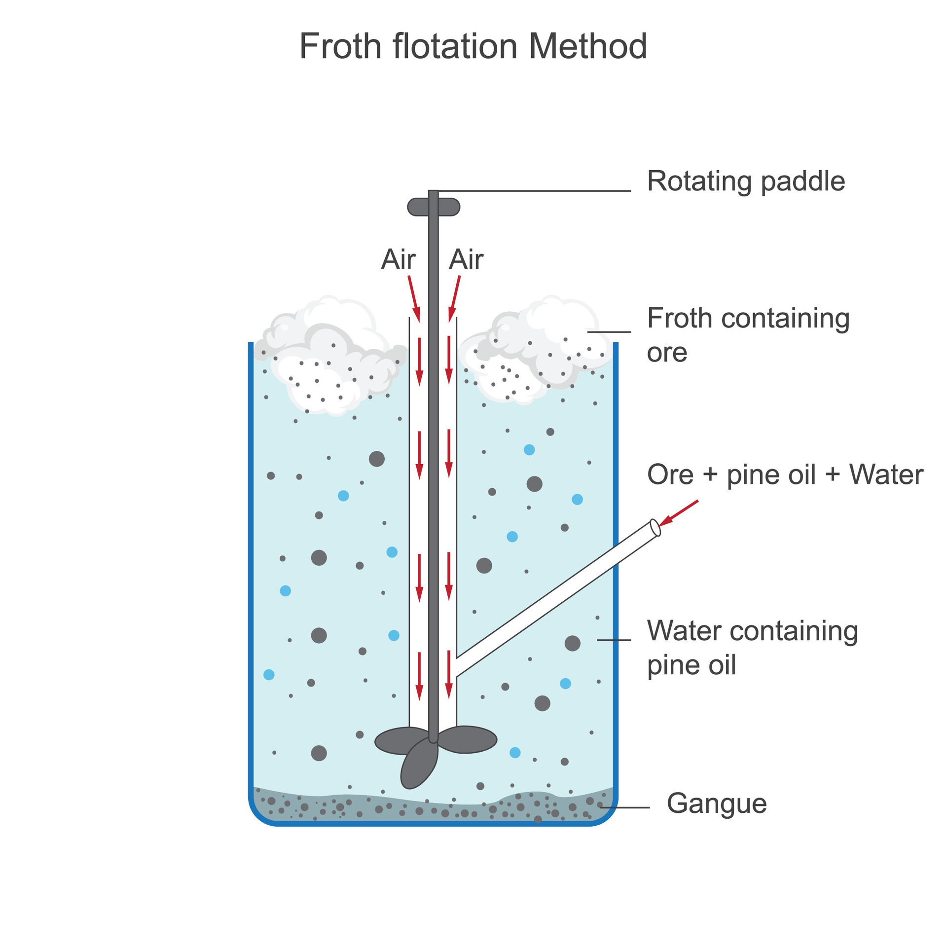 Froth flotation, a mineral separation technique, relies on the ...