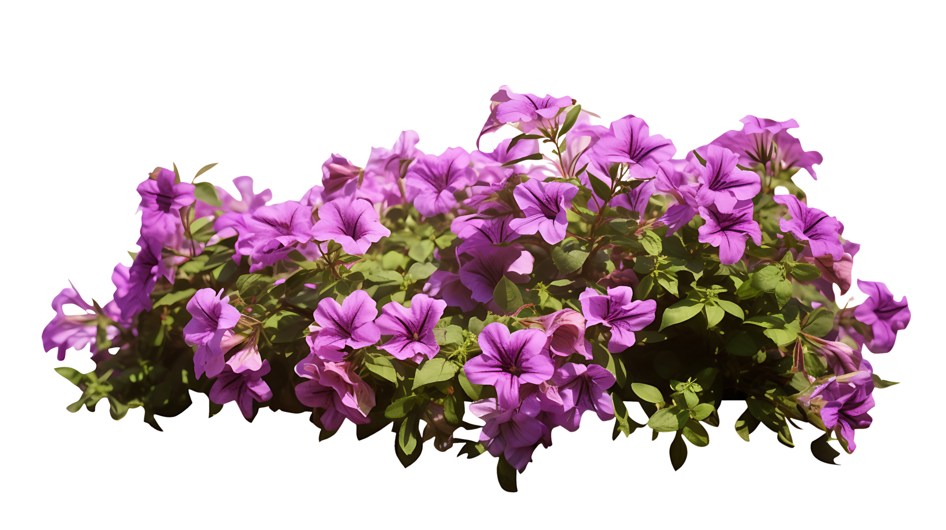 AI generated Clear Elegance, Pink Blossoms Cut Out 38154647 PNG