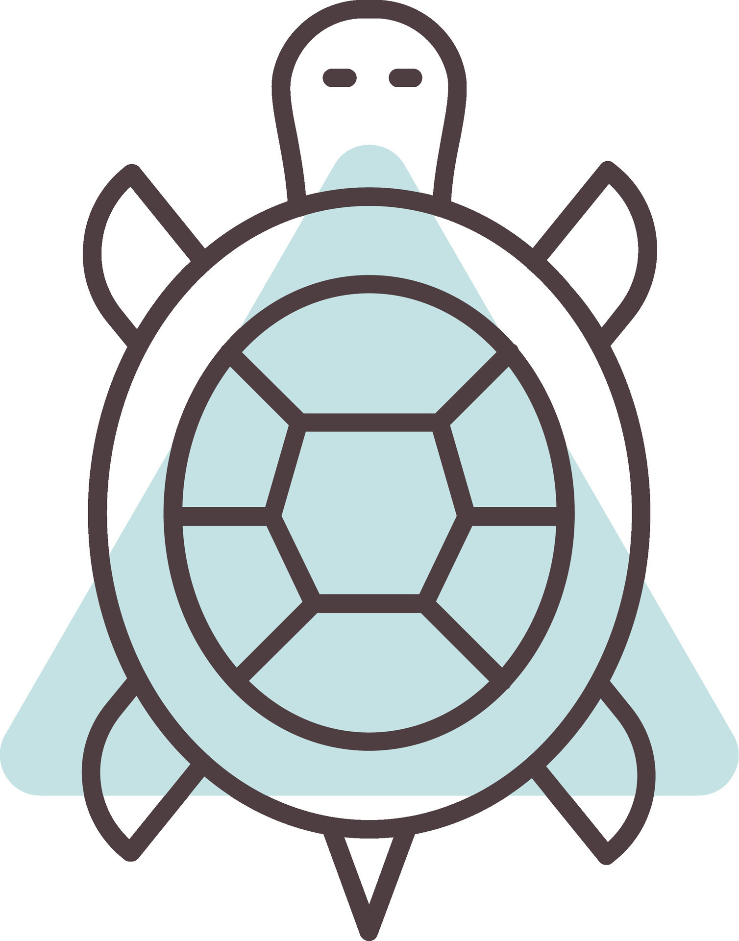 Turtle Line Shape Colors Icon 38175921 Vector Art at Vecteezy