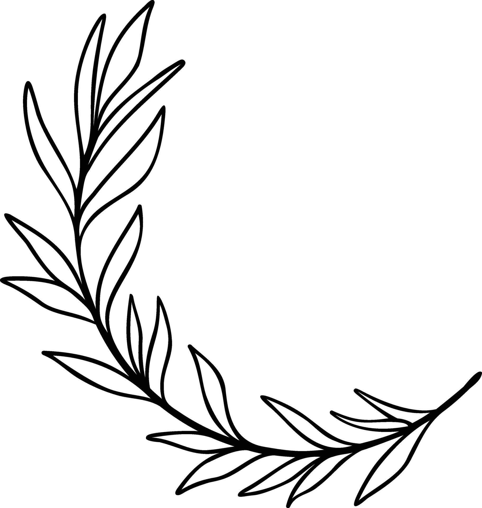 Leaf Rounded Border 38242520 Vector Art at Vecteezy