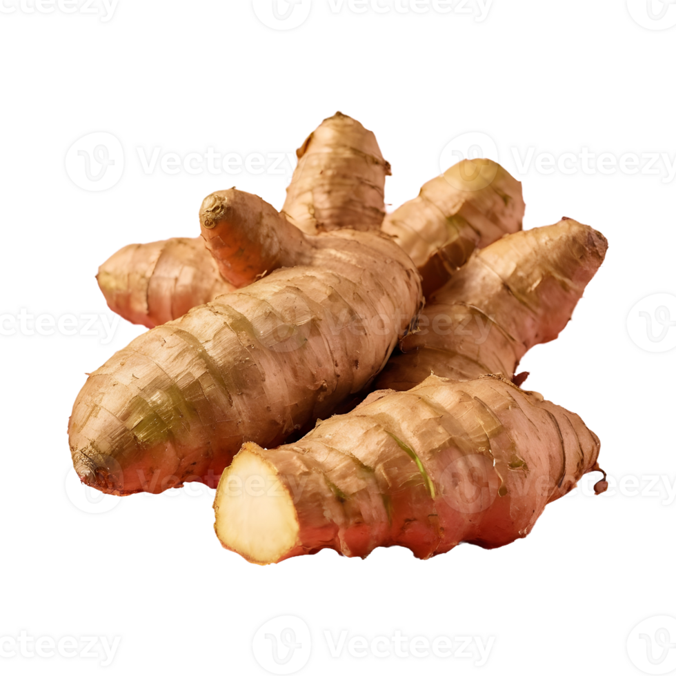 ai generado transparente antecedentes Destacar Fresco jengibre aislado ...