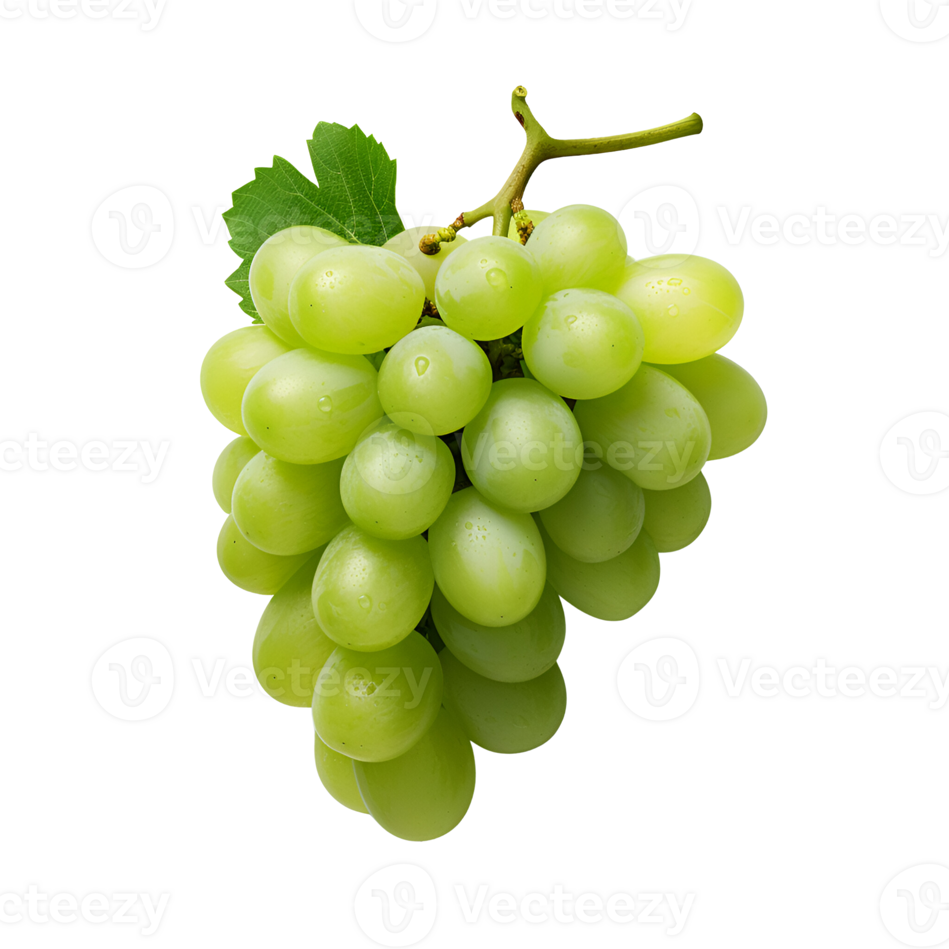 AI generated Green Grapes Fresh Grapes on the Vine No Background 38243785 PNG
