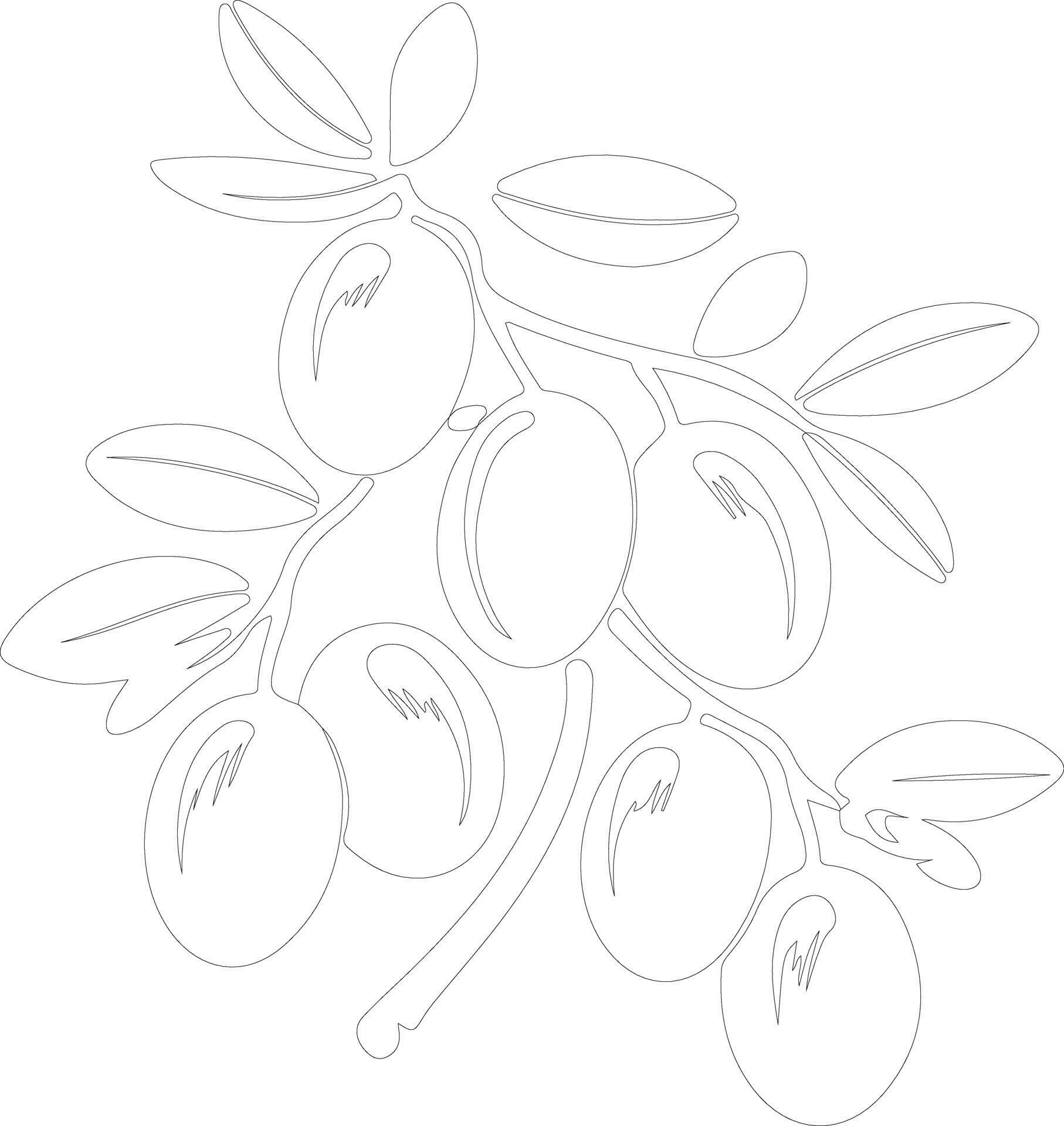 Kumquat Outline Silhouette 38491697 Vector Art At Vecteezy
