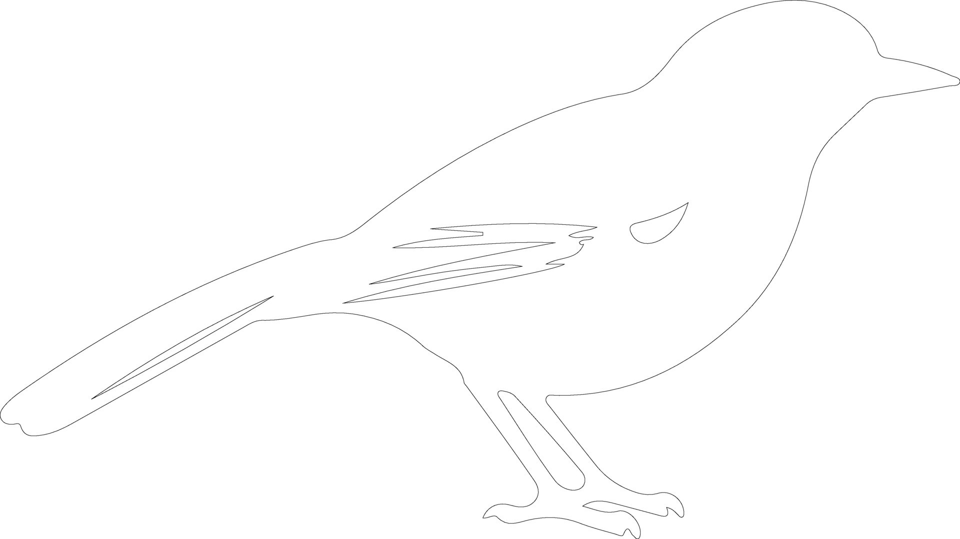 mockingbird outline silhouette 38492865 Vector Art at Vecteezy mockingbird outline silhouette 38492865 Vector Art at Vecteezy