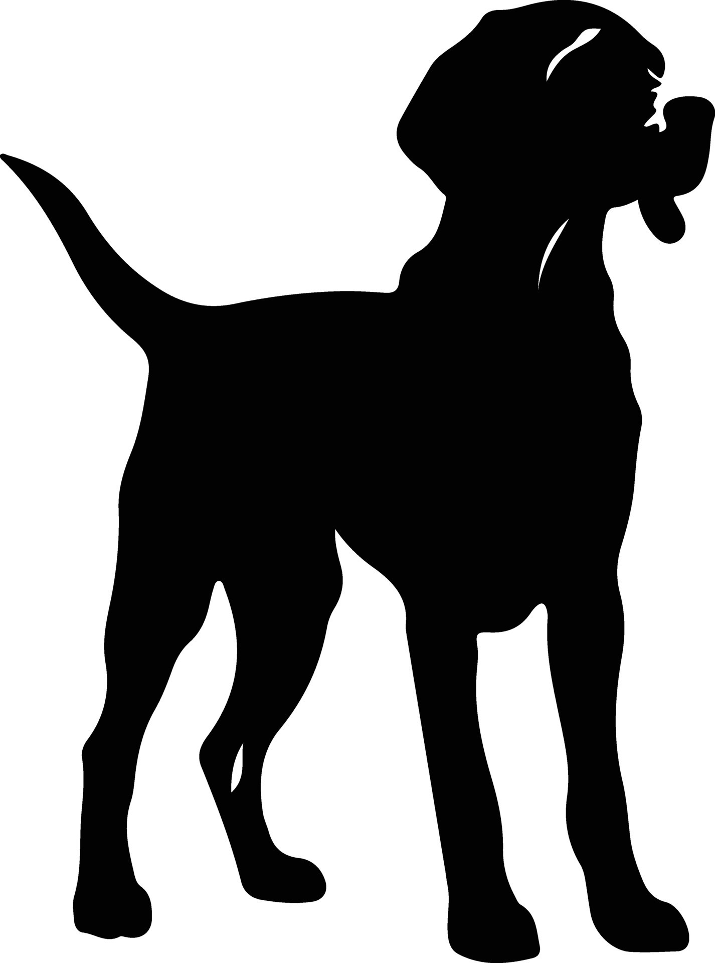 German Wirehaired Pointer black silhouette 38493239 Vector Art at Vecteezy