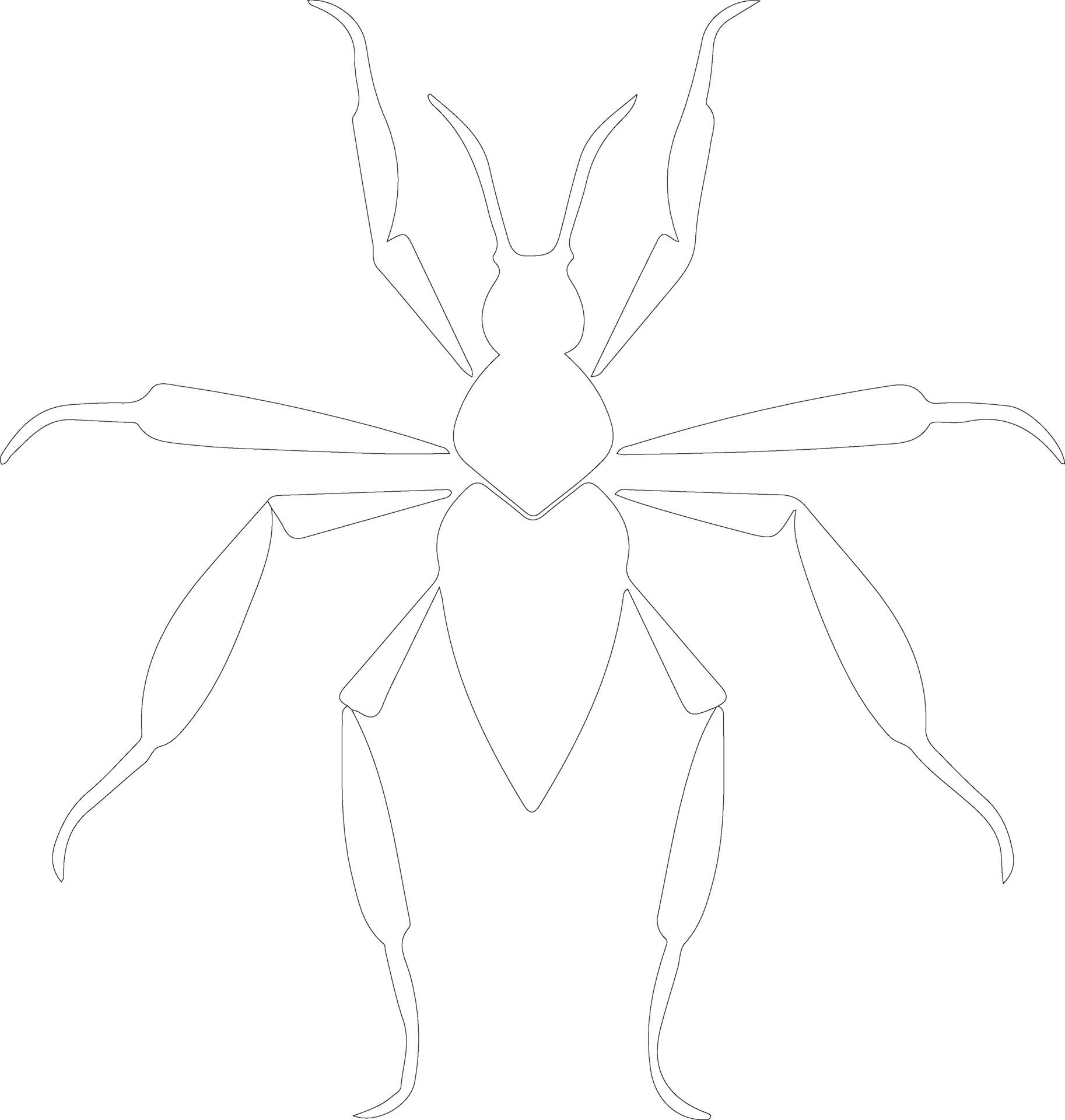 Assassin Bug Outline Silhouette 38494593 Vector Art At Vecteezy