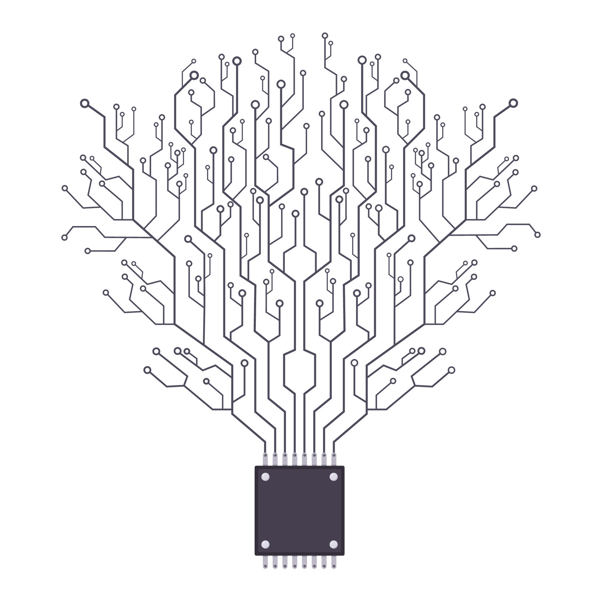 Tree Branch Circuit Matrix Growing From A Cpu Or Microchip Programming Center 38504809 Vector