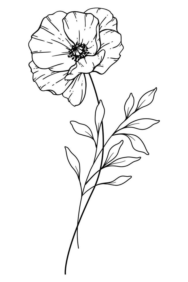 Poppy Line Art. Poppy outline Illustration. August Birth Month Flower. Poppy outline isolated on ...