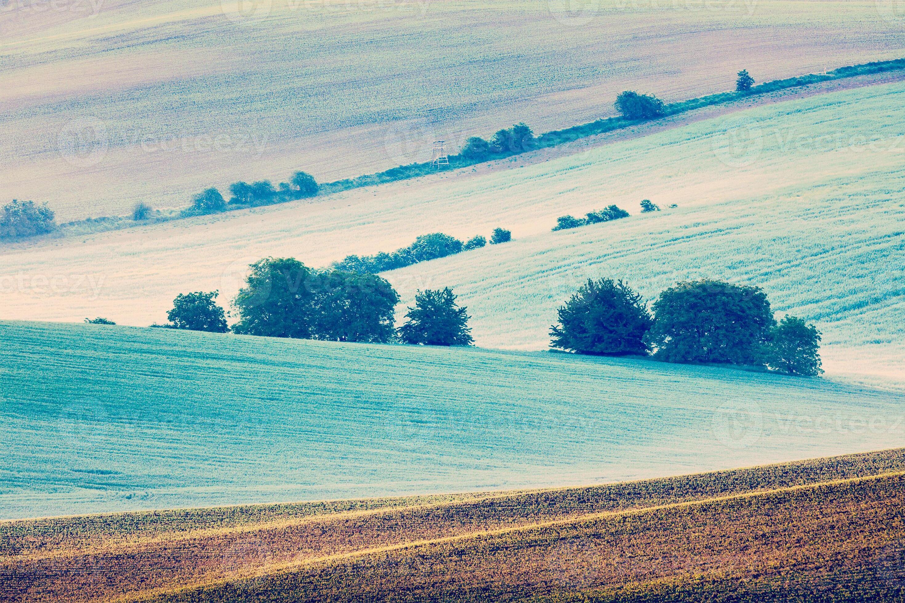 Moravian rolling fields in morning mist 38567271 Stock Photo at Vecteezy