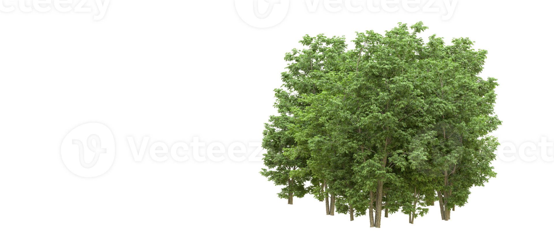 Green Forest Isolated On Background 3d Rendering Illustration 38569833 Png