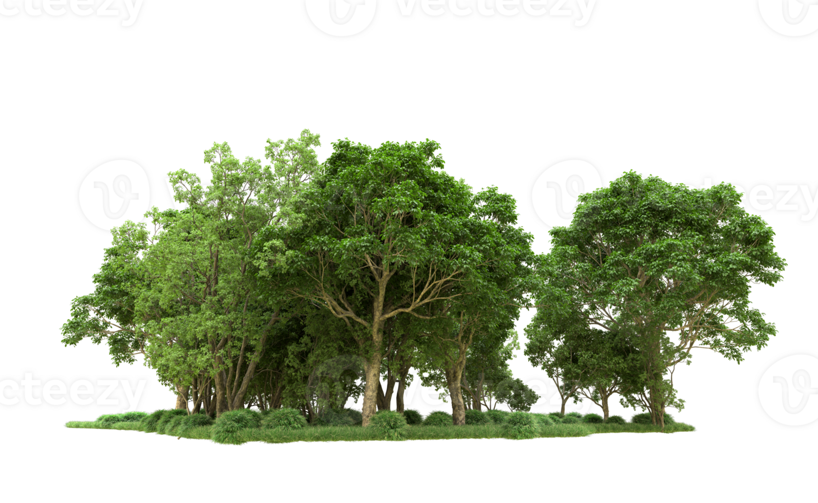 Green Forest Isolated On Background 3d Rendering Illustration 38570453 Png