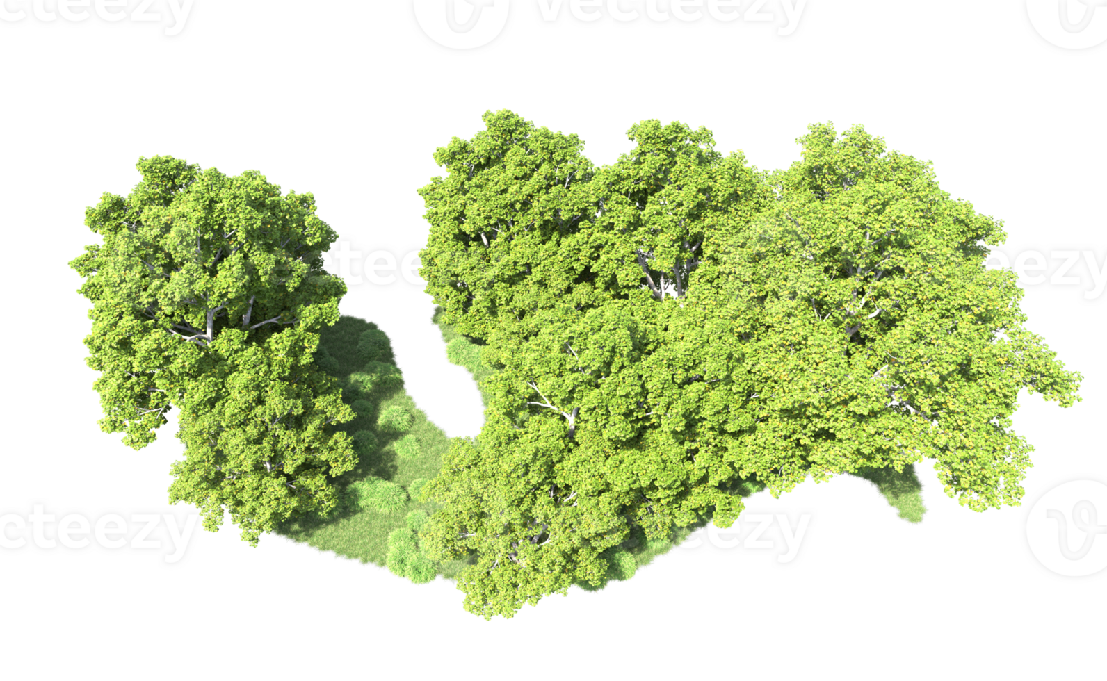 Green Forest Isolated On Background 3d Rendering Illustration 38570469 Png
