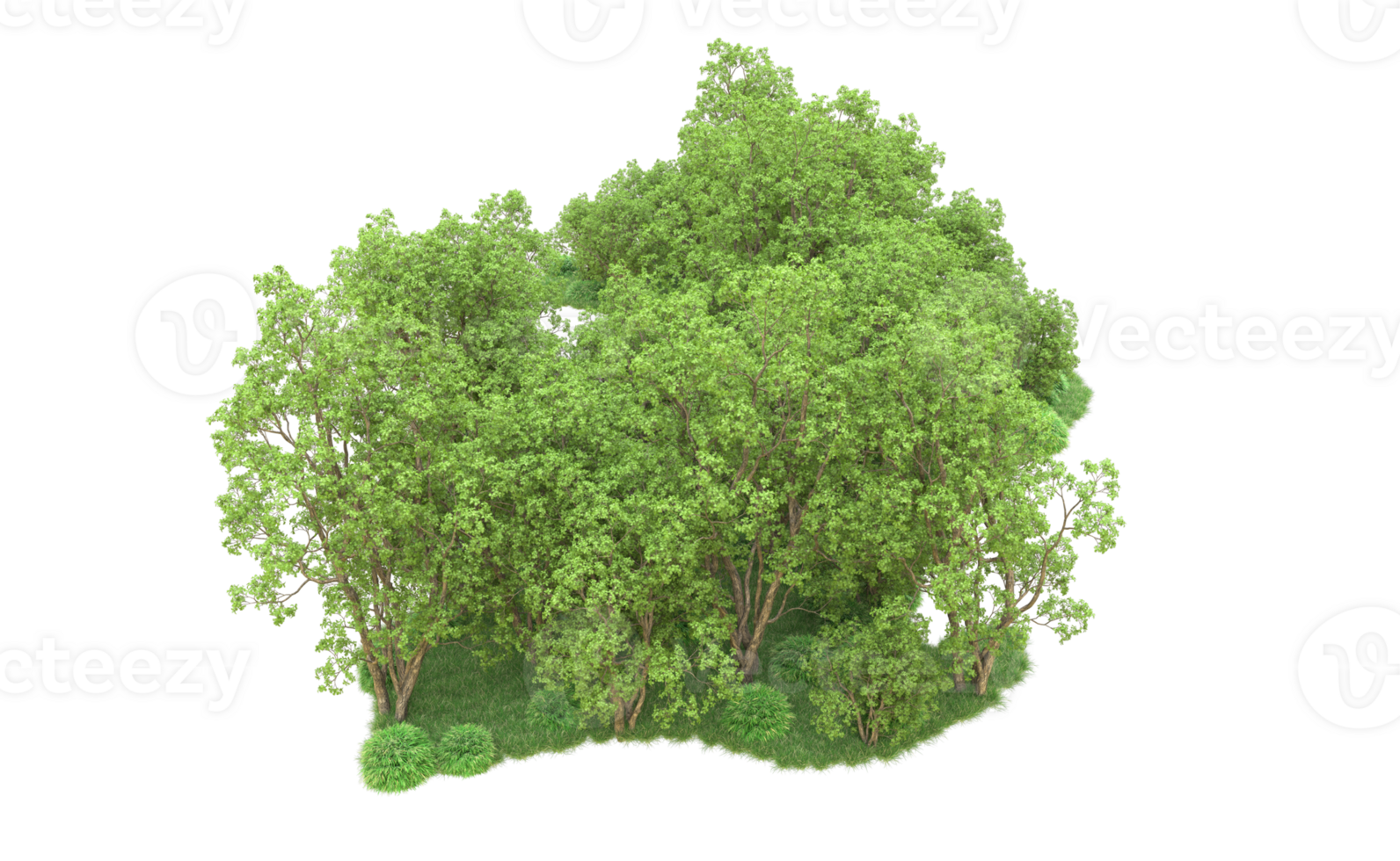Green Forest Isolated On Background 3d Rendering Illustration