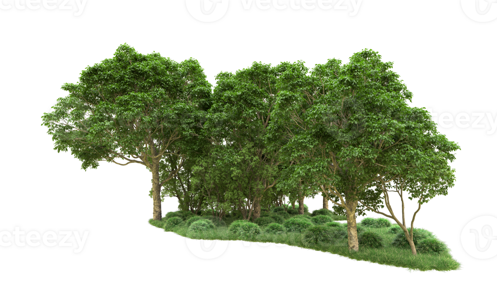 Green Forest Isolated On Background 3d Rendering Illustration 38570501 Png