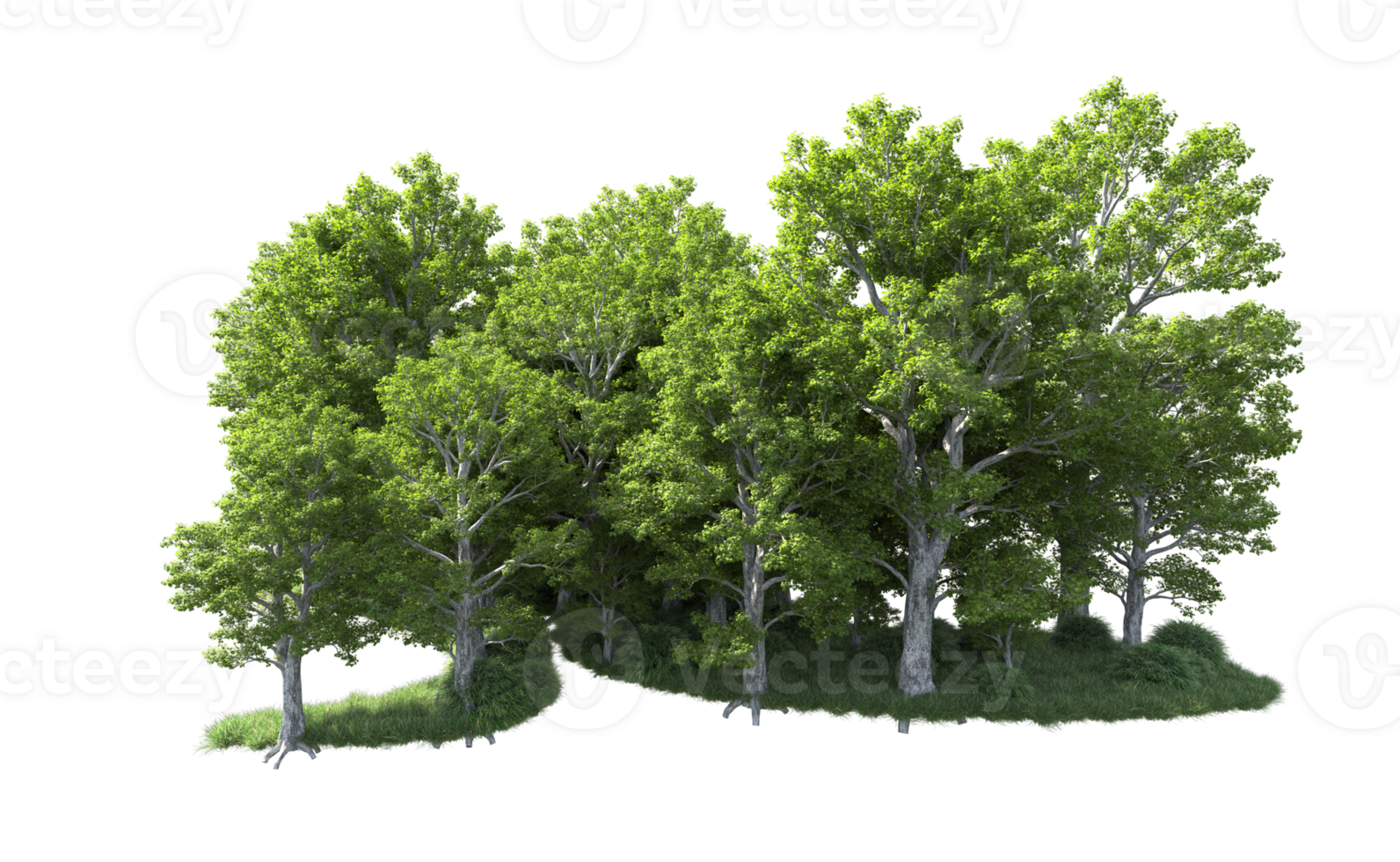 Green Forest Isolated On Background 3d Rendering Illustration 38570639 Png