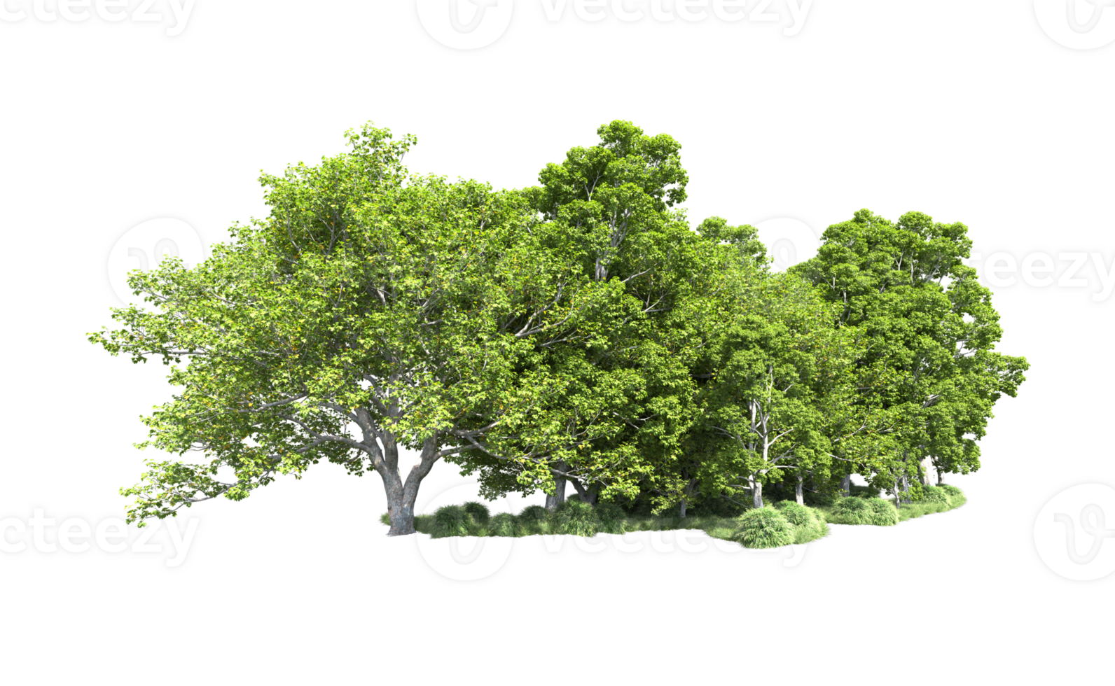 Green forest isolated on background. 3d rendering - illustration ... Green forest isolated on background. 3d rendering - illustration ...