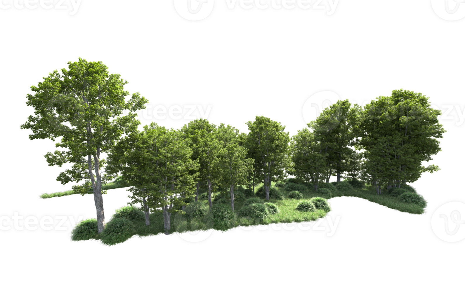 Green Forest Isolated On Background 3d Rendering Illustration 38570896 Png