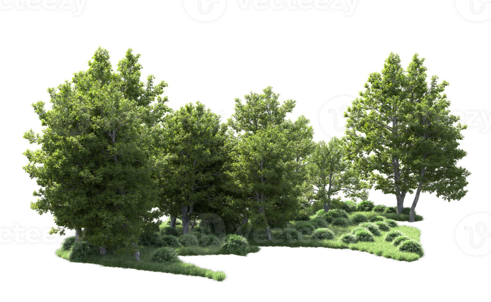 Green Forest Isolated On Background 3d Rendering Illustration 38570925 Png