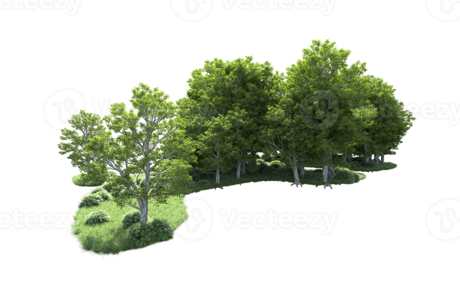 Green Forest Isolated On Background 3d Rendering Illustration 38571039 Png