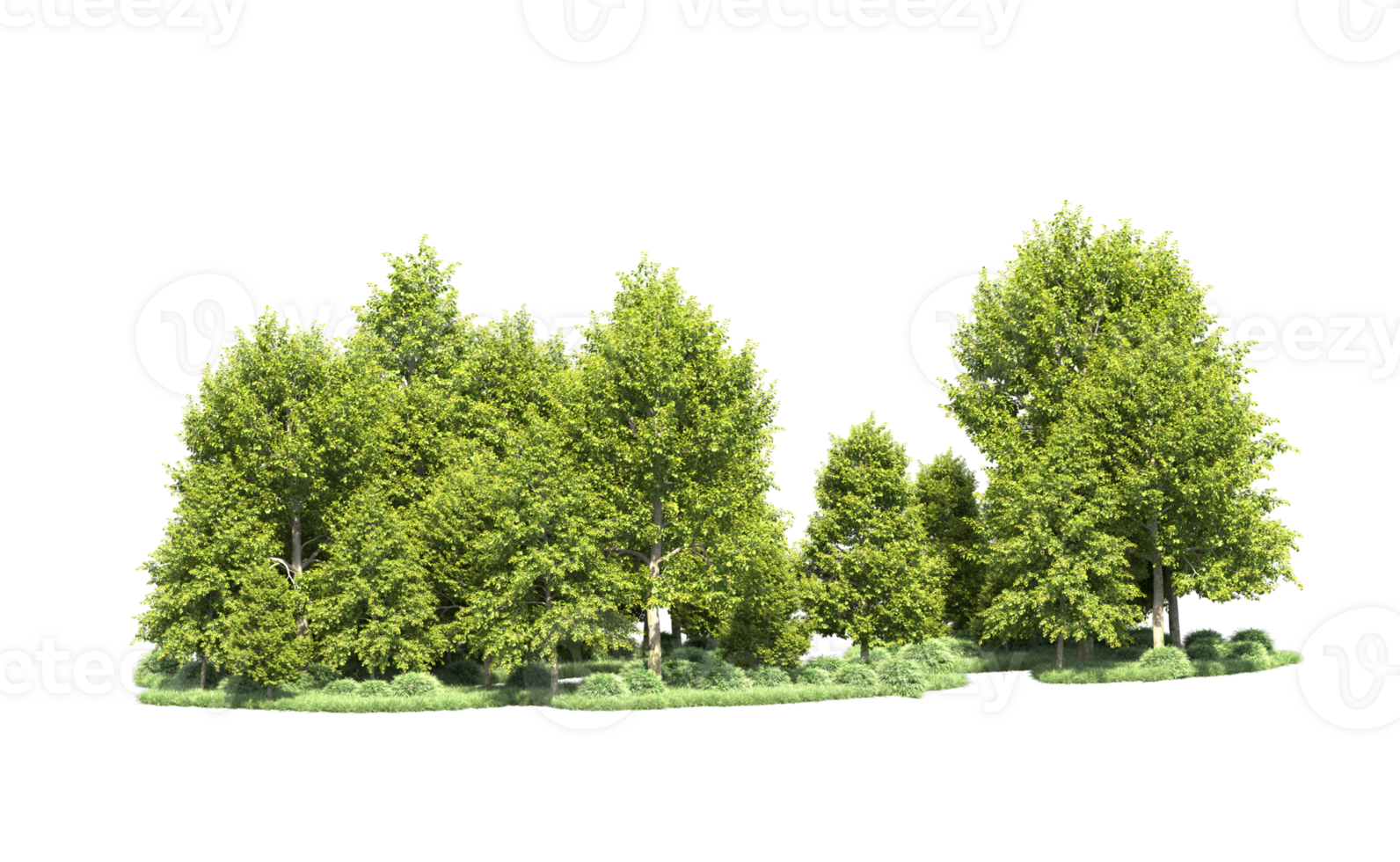 Green Forest Isolated On Background 3d Rendering Illustration 38571711 Png