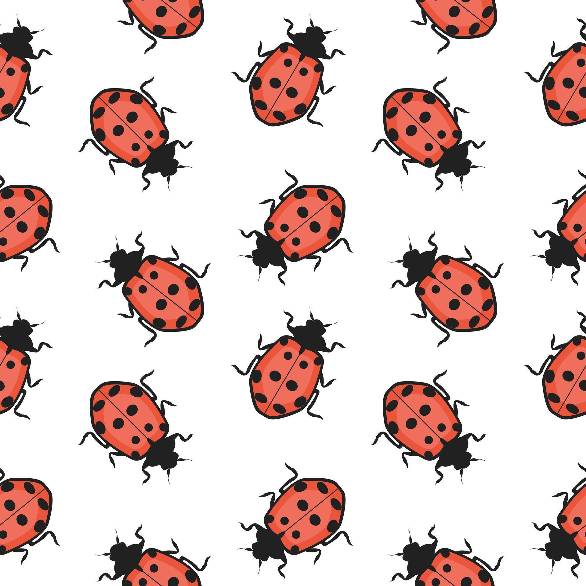 Seamless pattern, ladybugs on a white background. Insect background ...