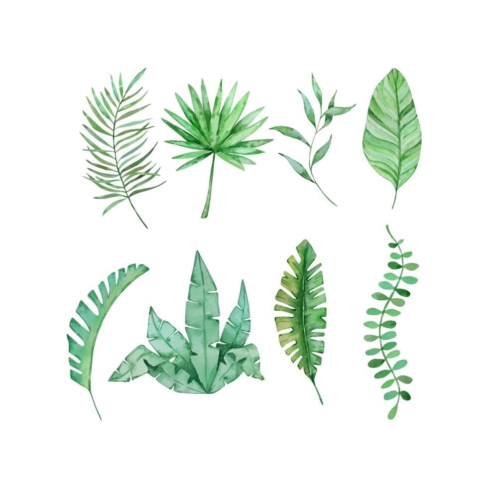 Watercolor Tropical Leaves Jungle Illustration 39038432 Vector Art At