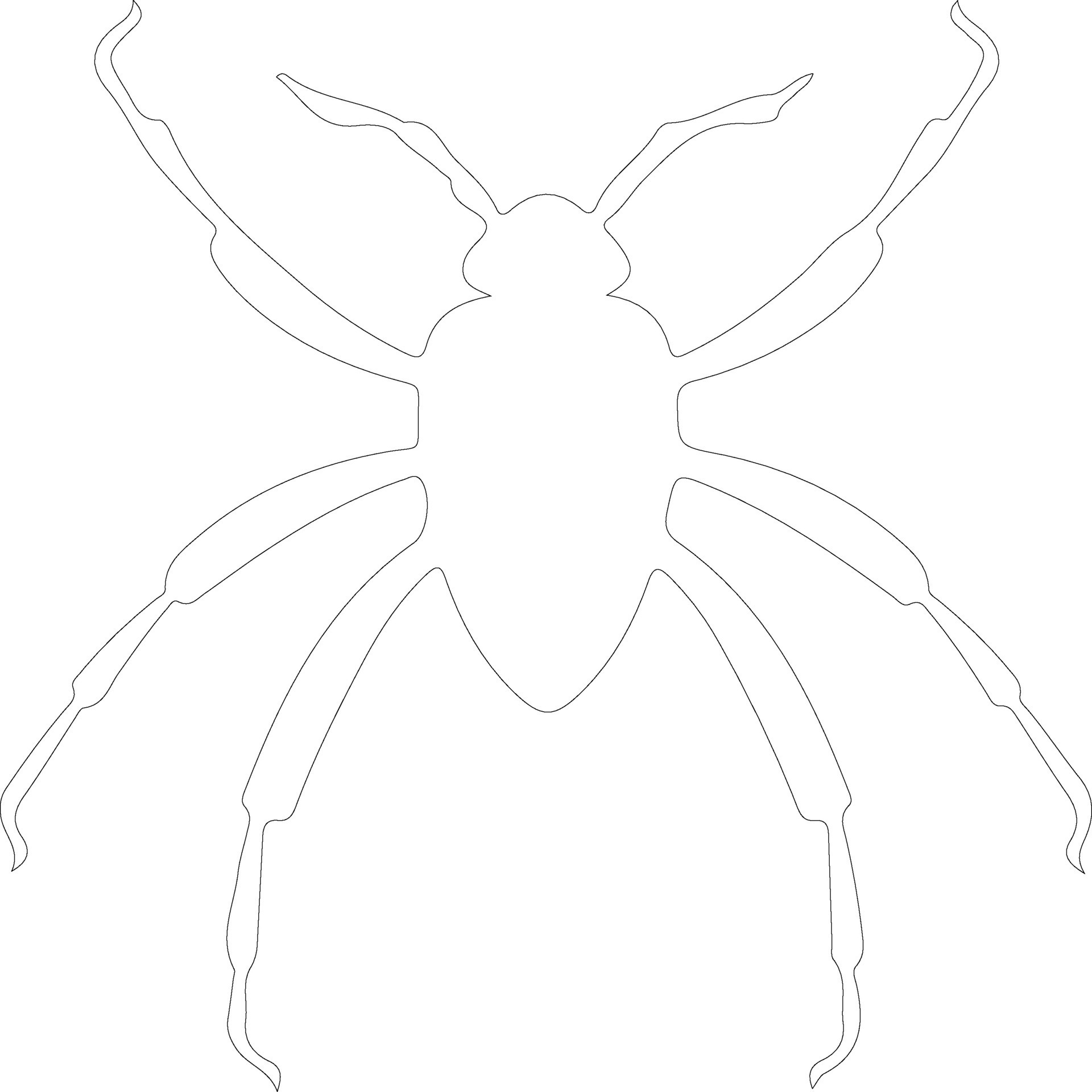 Assassin Bug Outline Silhouette 39056789 Vector Art At Vecteezy