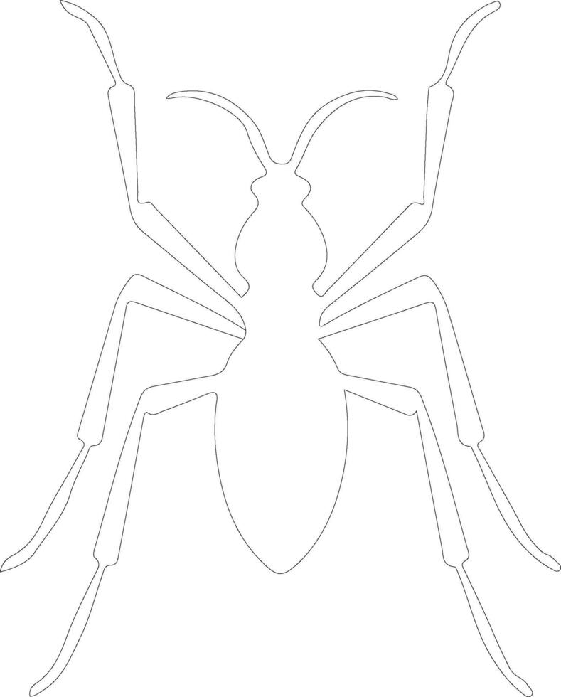 Assassin Bug Outline Silhouette 39056790 Vector Art At Vecteezy