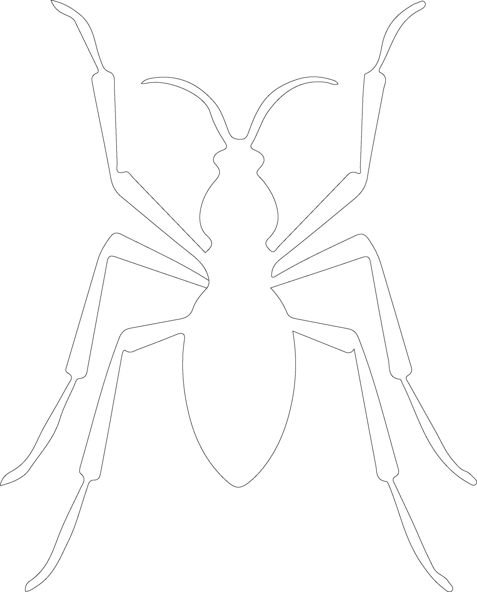 Assassin Bug Outline Silhouette 39056790 Vector Art At Vecteezy