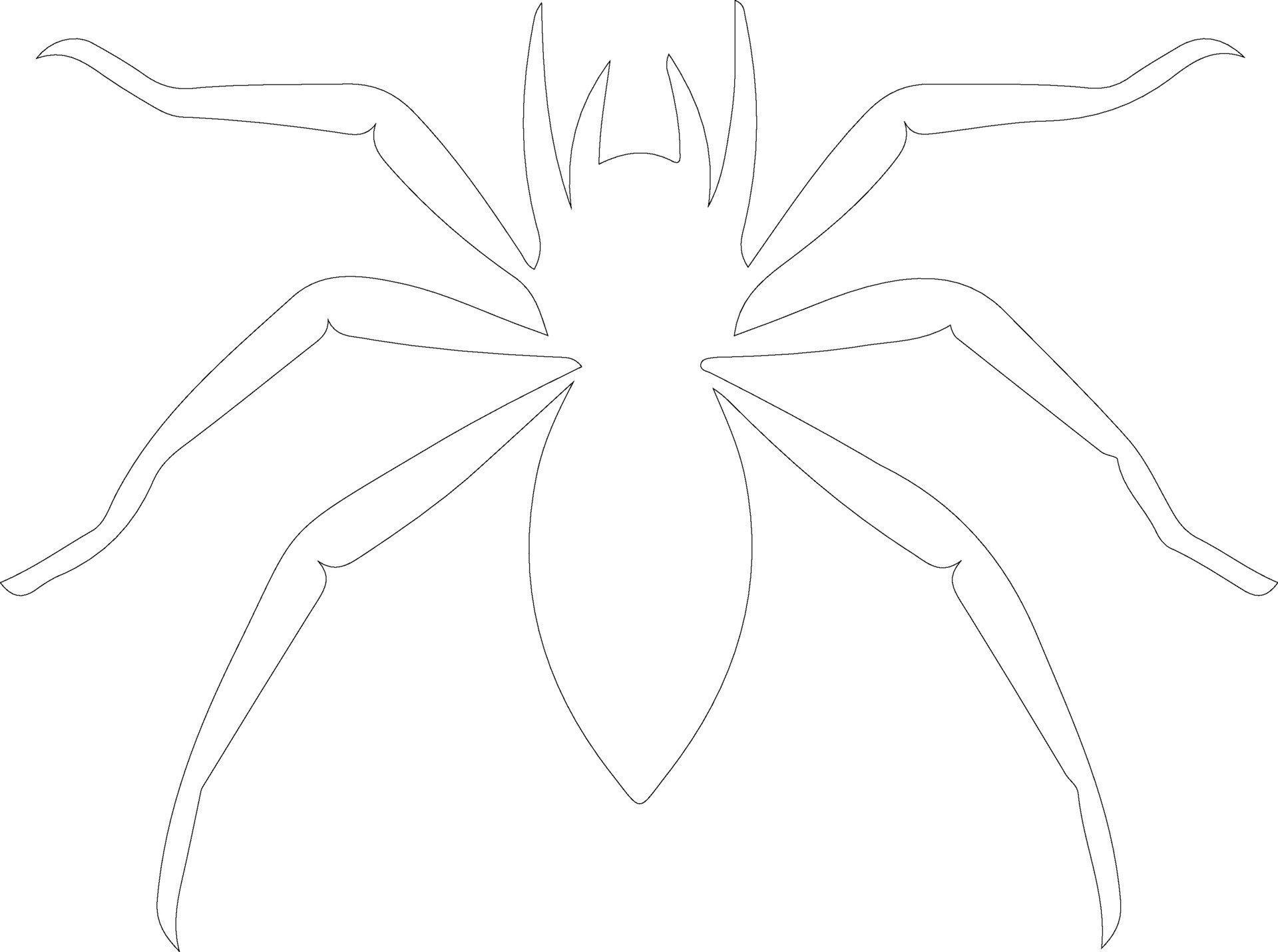 Assassin Bug Outline Silhouette 39056801 Vector Art At Vecteezy