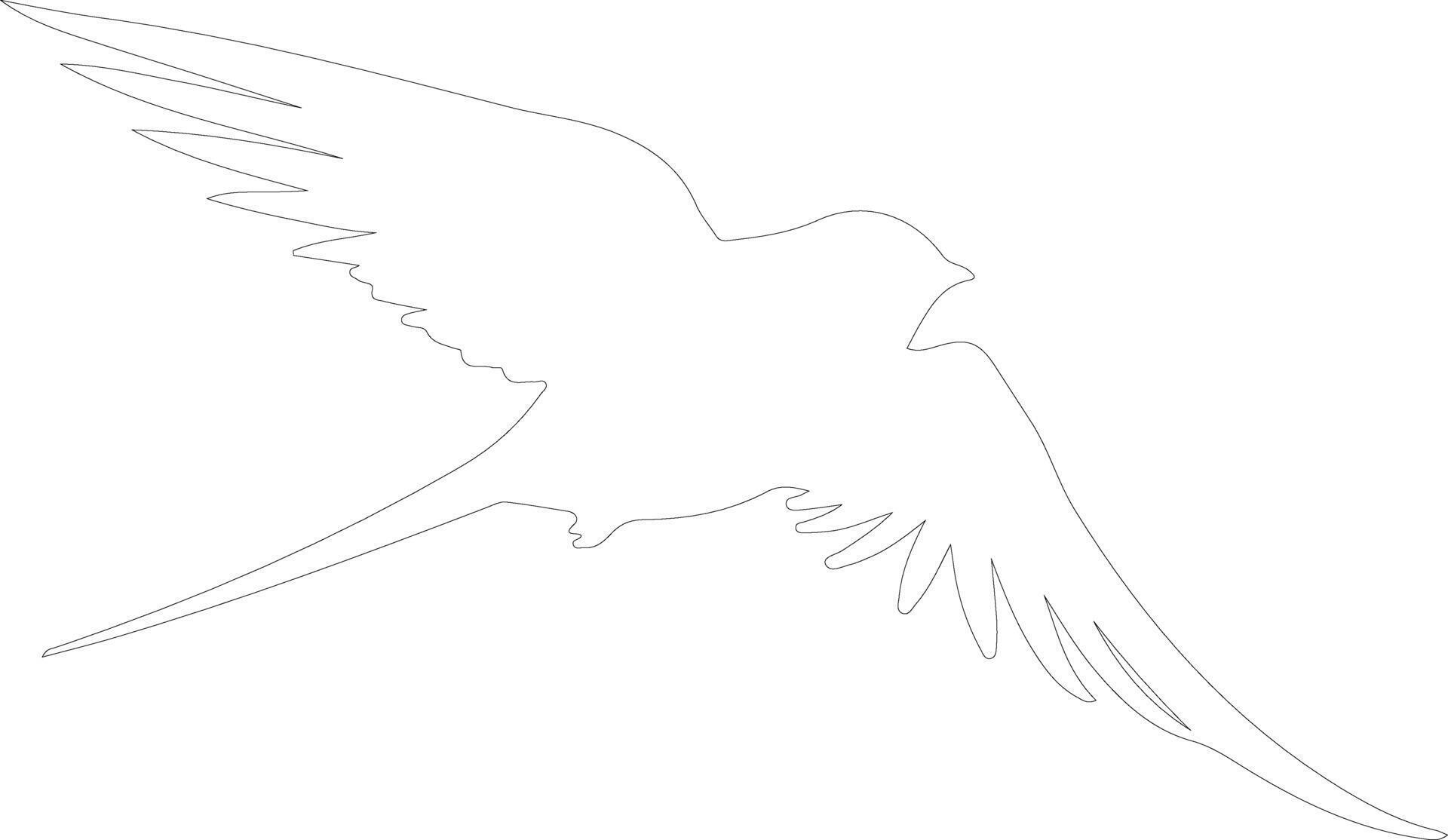 swift outline silhouette 39057424 Vector Art at Vecteezy