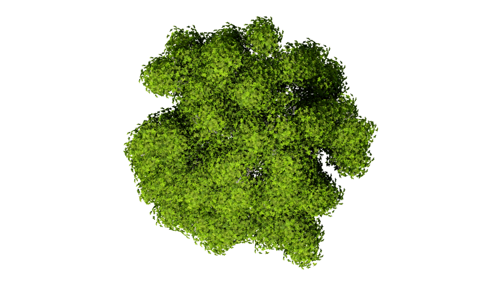 3D Top view Green Trees Isolated on PNGs transparent background , Use for visualization in ...