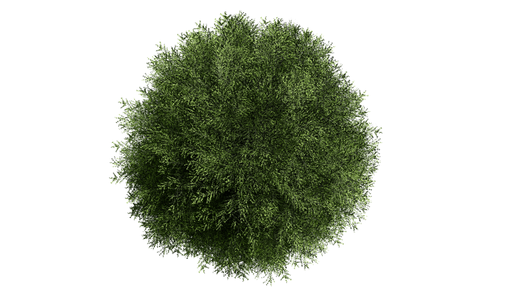 3D Top view Green Trees Isolated on PNGs transparent background , Use for visualization in ...