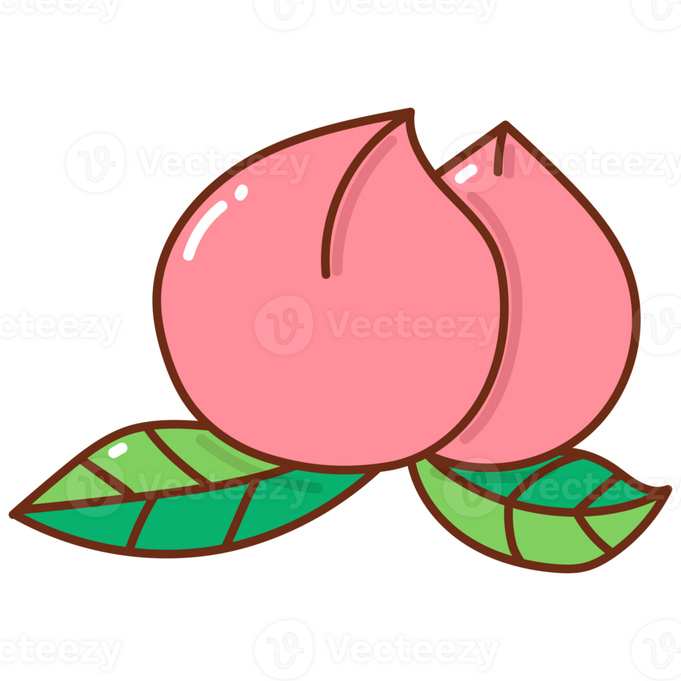 Melocotón Dibujos Animados Garabatear 39095833 Png