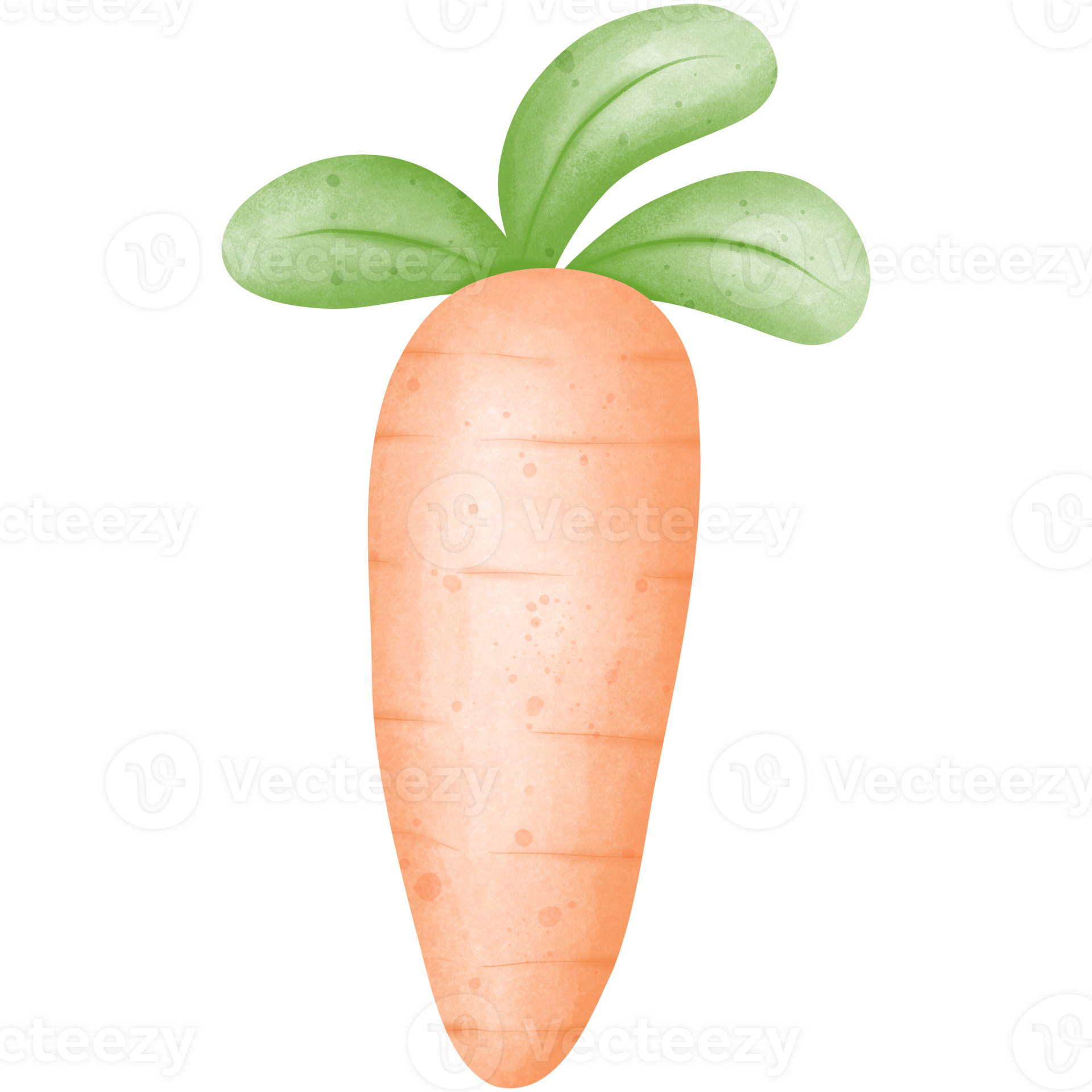 Easter carrot Clipart, Carrot Clipart, Easter Clipart. 39144246 PNG