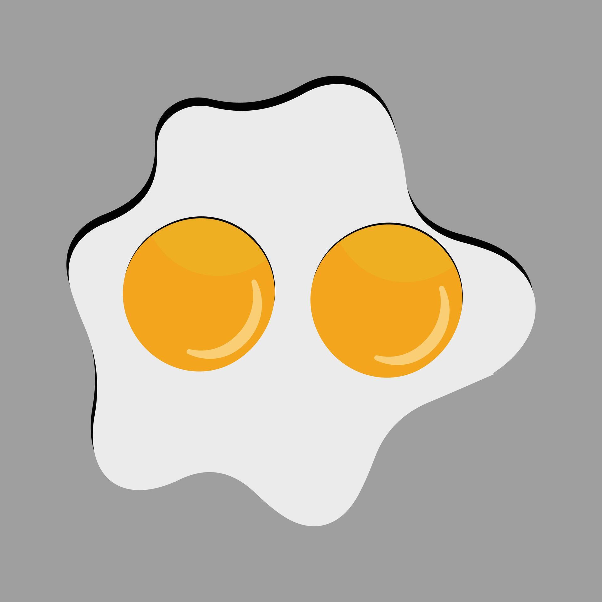 Egg vector illustration, Collection of whole, broken, fried, yolks, eggshells and boiled eggs ...