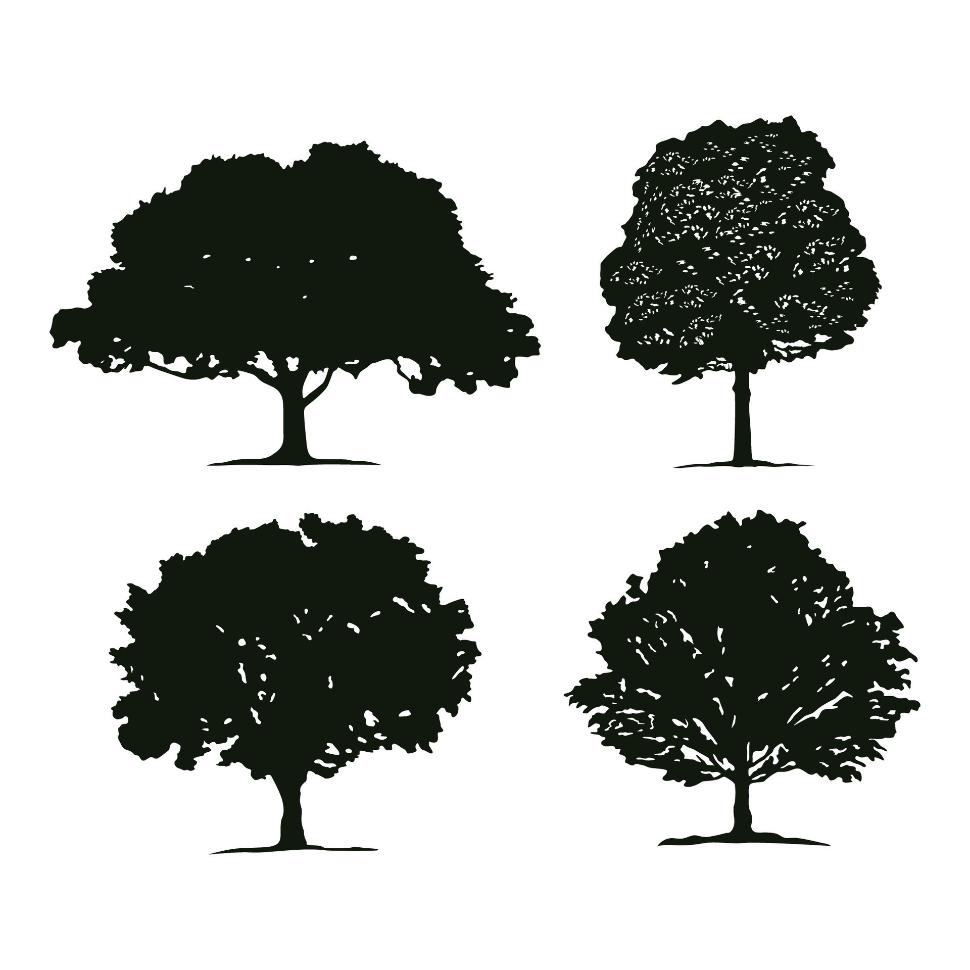 vector set collection of tree 39204758 Vector Art at Vecteezy