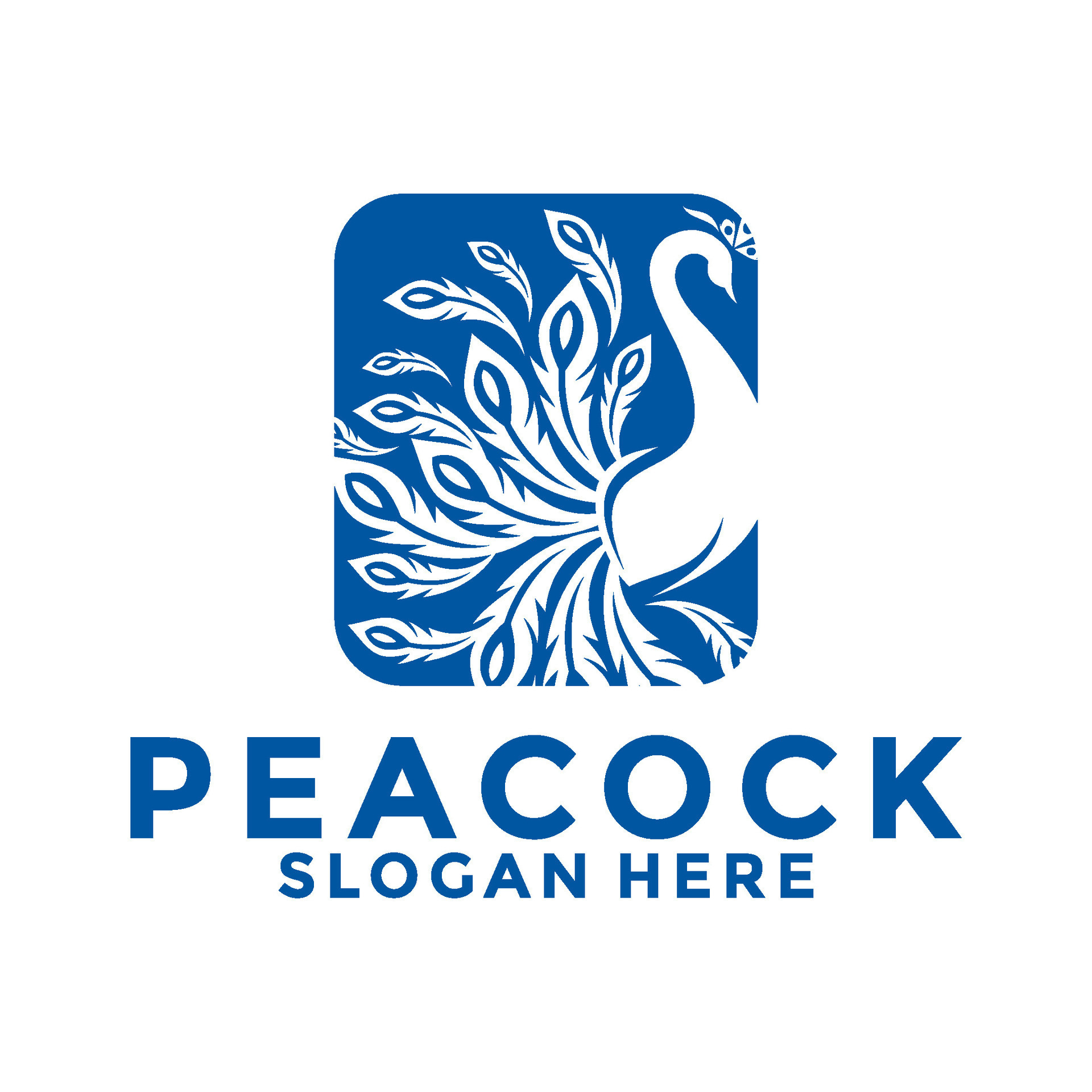 Luxurious Peacock Bird Logo Icon Abstract Peacock Logo Vector Design