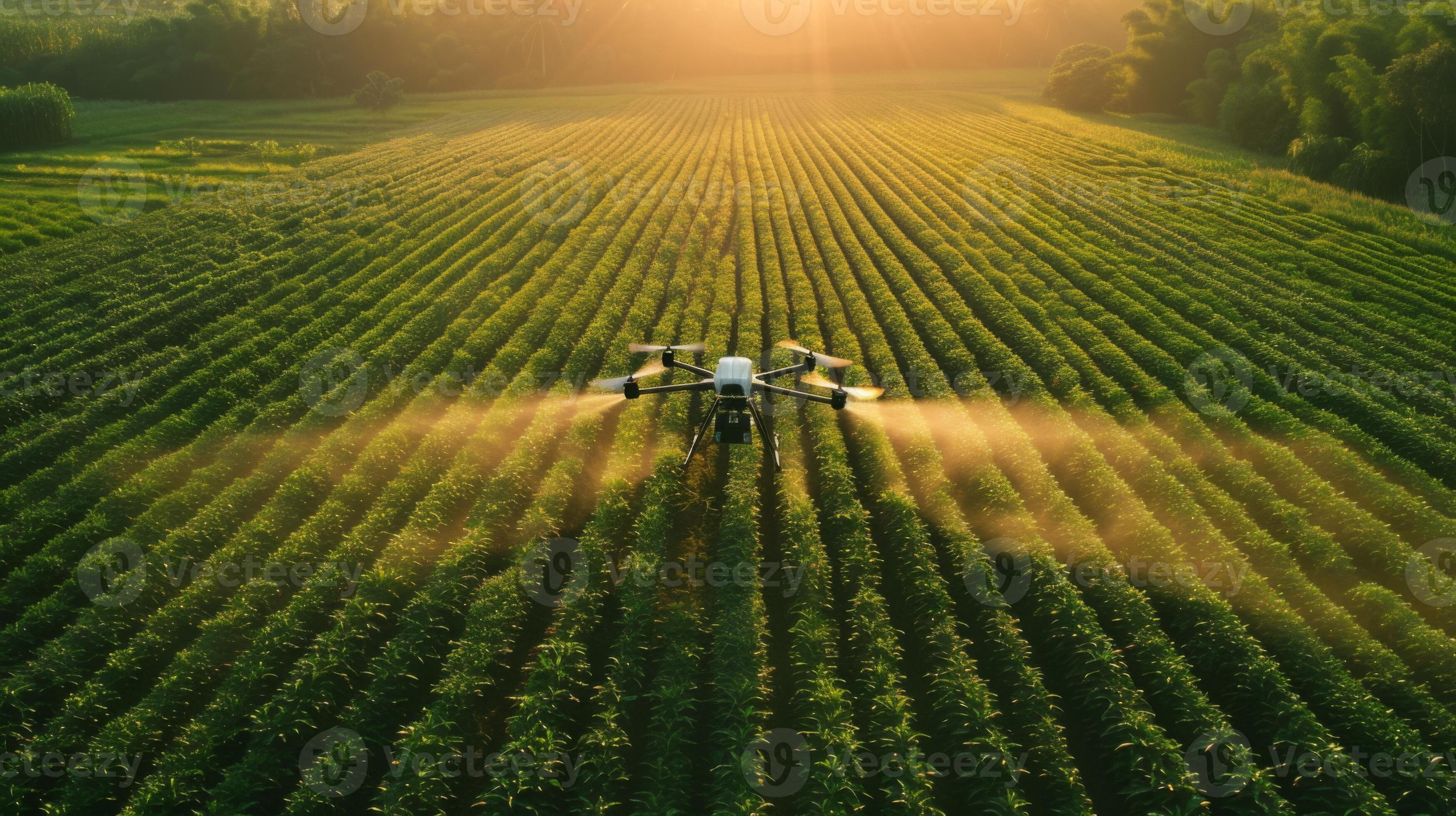 AI generated Farmers operating pesticide spraying drones over a lush crop field, showcasing the ...
